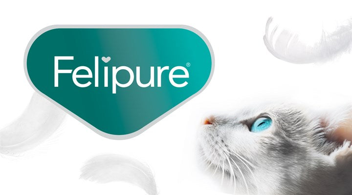Brand Spotlight : Felipure Cat Litter - UK & Ireland - For Petz NI